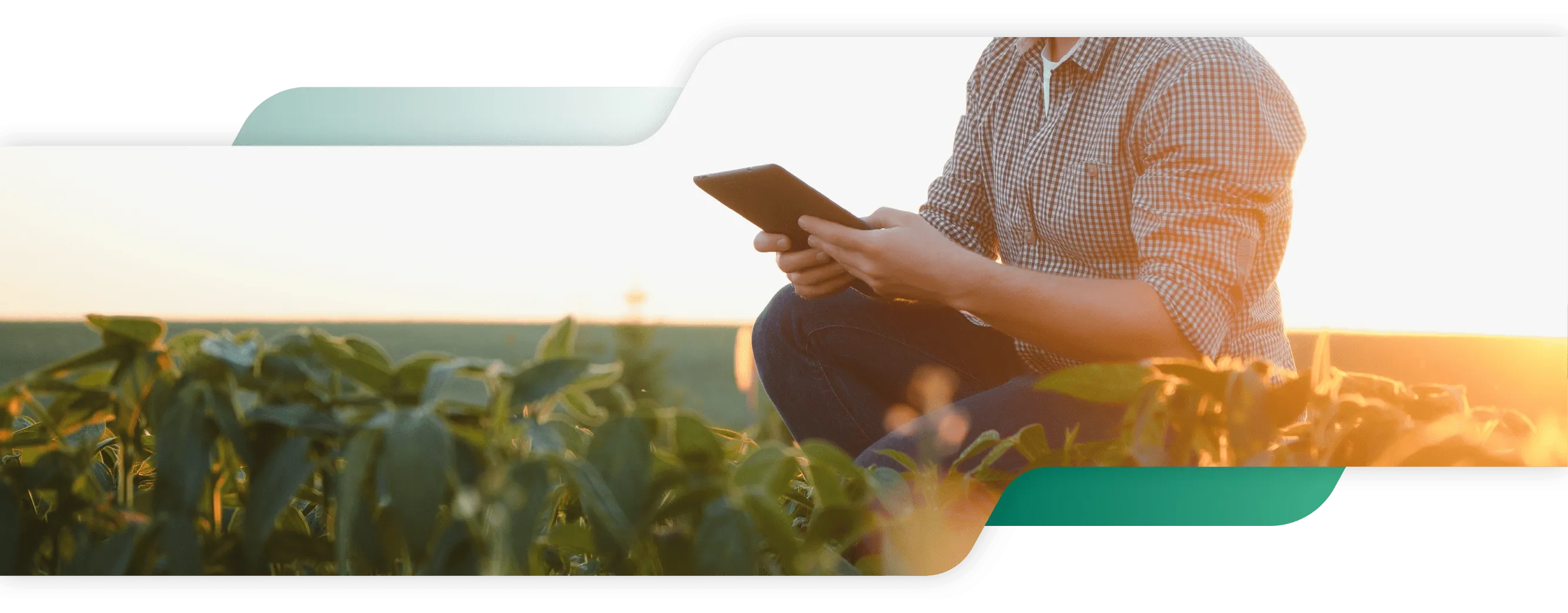 Produção Rural | Agrotis sistemas para o agronegócio